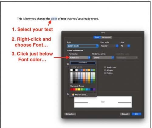 2 Ways to Quickly Change Text Color in Microsoft Word - The Techie Senior