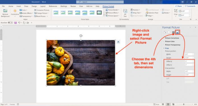 Crop images in Microsoft Word - A Comprehensive Guide Using 3 Methods ...