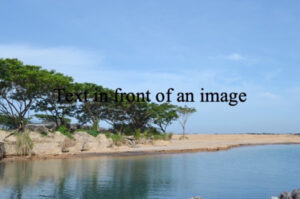 How to Put Text Over an Image in OpenOffice Writer - The Techie Senior