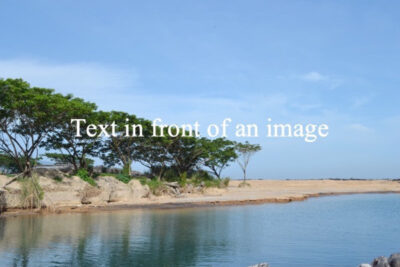 How to Put Text Over an Image in OpenOffice Writer - The Techie Senior